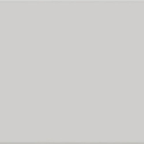 Centura - Wall Tiles Plain Colours Tender Grey Polished 2" x 8 ...