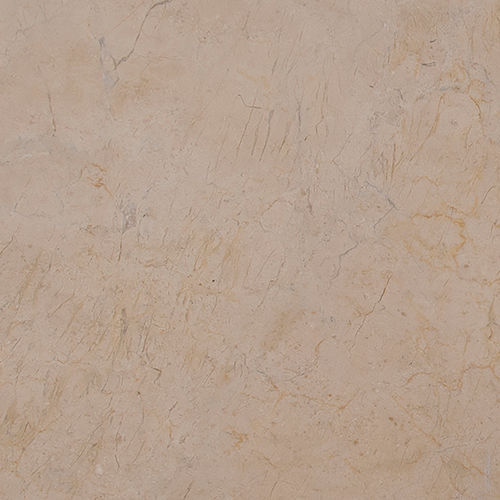 MSI Surfaces - Floor Tiles Crema Marfil Select Honed 12" x 12 ...