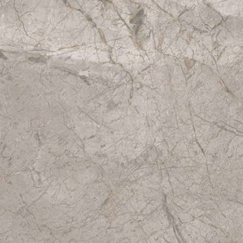 Italbec - Tuiles plancher Essenze Argent Gris Polie 24" x 48" - ESZSGR2448PR | FloorBox