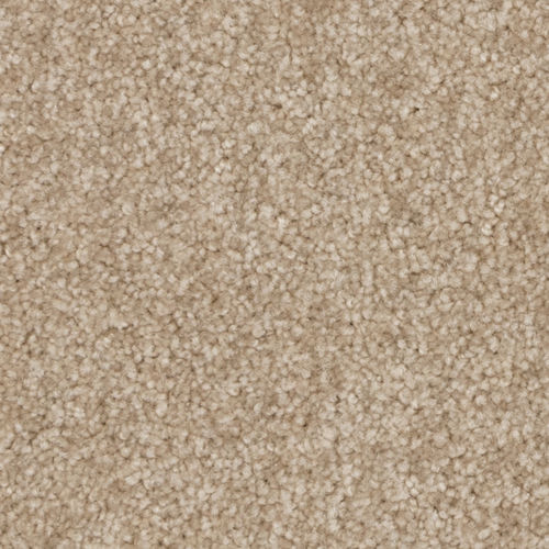 Beaulieu - Broadloom Carpet Radcliffe Brown Bag 12' (Sold in Sqyd ...