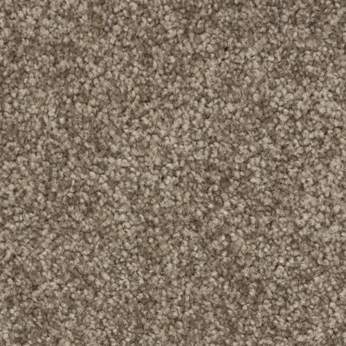Beaulieu - Broadloom Carpet Radcliffe Velvety Bistre 12' (Sold in Sqyd ...