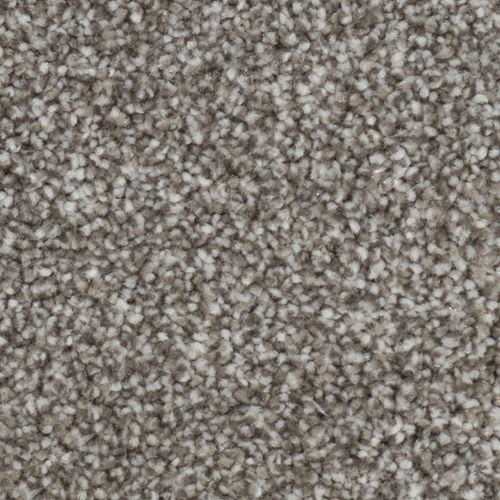 Beaulieu - Tapis en rouleau Calm Sanctuary Gris mastic 12' (vendu en ...