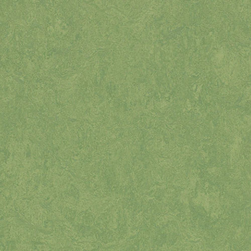 Forbo - Marmoleum Tiles Cinch Loc Seal Leaf 12" x 12" - 243489 | FloorBox