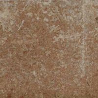 Centura Wall Tiles Tribeca Old Red Textured 2" x 10" (J85886) | FloorBox