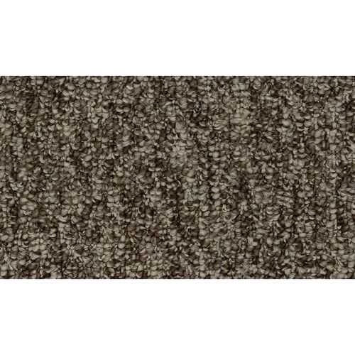 Mohawk - Broadloom Carpet Pristine Sensation Garden Bramble 12' (Sold ...
