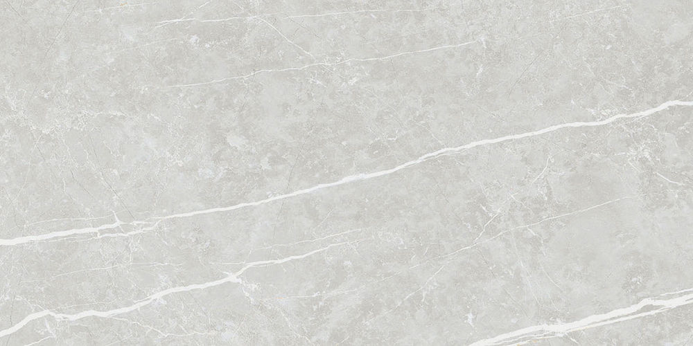 Centura Floor Tiles Elite Silver Matte 12" x 24" (ELSILV1224M) | FloorBox