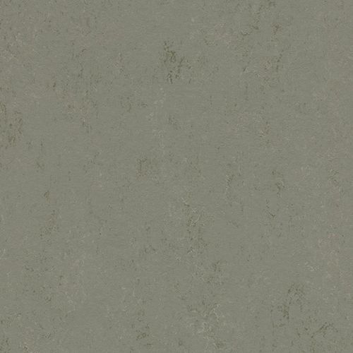 Forbo - Marmoleum Roll Solid Concrete Glacier 79" - 2.5 mm (Sold in ...