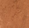 Forbo - Marmoleum Roll Decibel On Order Rust 74-13/16" - 3.5 mm (Sold ...