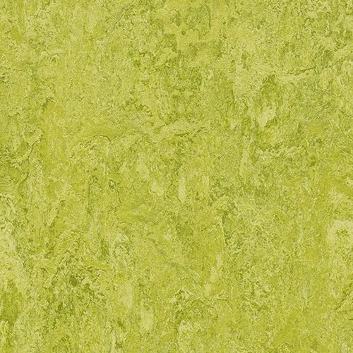 Forbo - Marmoleum Roll Decibel On Order Chartreuse 74-13/16" - 3.5 mm ...