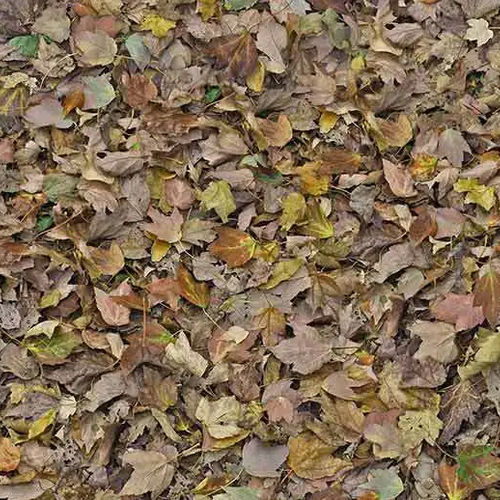 Forbo - Flotex en rouleau Vision Autumn Leaves - Green 79" x 98.4 ...