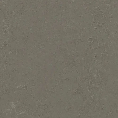 Forbo - Marmoleum Roll Solid Concrete Nebula 6' 6" - 2.5 mm (Sold in ...