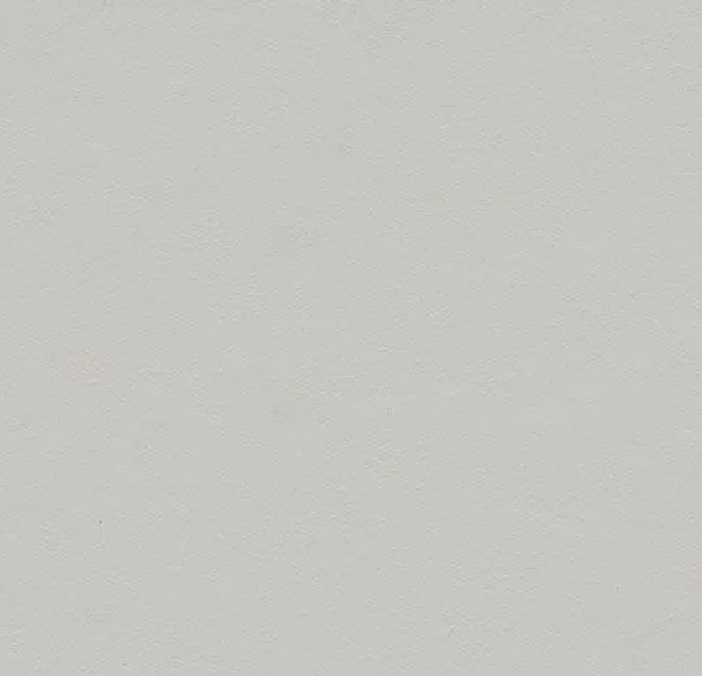 Forbo Marmoleum Roll Walton Titanium 6.58' - 2.5 mm (Sold in Sqyd ...