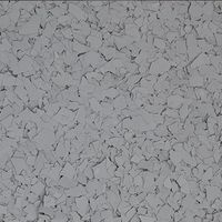 Torginol Epoxy Chips ColorFlakes F9961 Functional Gray 40 lb 1/8 ...