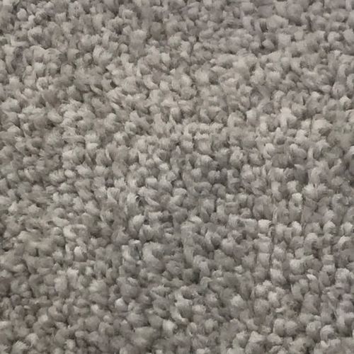 Standard Carpets - Broadloom Carpet Momentum 1271 12' (Sold in Sqyd ...