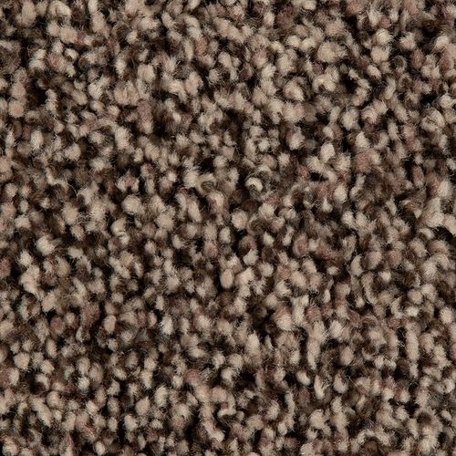 Mohawk - Broadloom Carpet Rest Assured I Bare Twig 12' (Sold in Sqyd ...