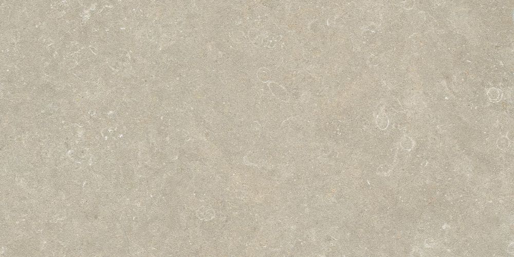Centura Floor Tiles Arkistyle Limy Matte 12" x 24" (J222) | FloorBox