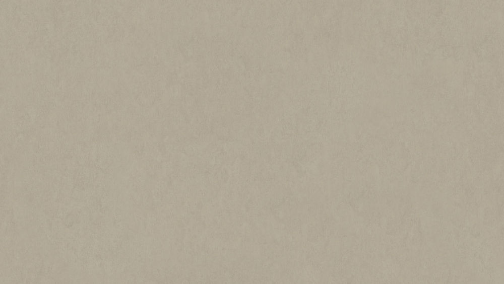 Tarkett Linoleum Sheet LinoFloor xf² Style Emme #201 Cenere 6-9/16' - 2 ...