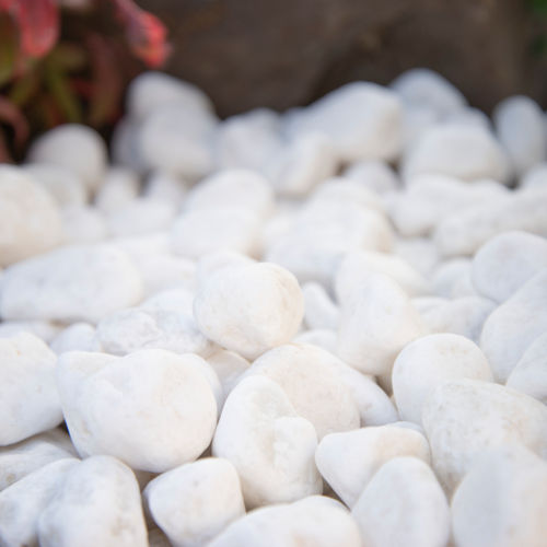 MSI Surfaces - Large River Stones Piedra Pebbles Himalaya White Natural ...
