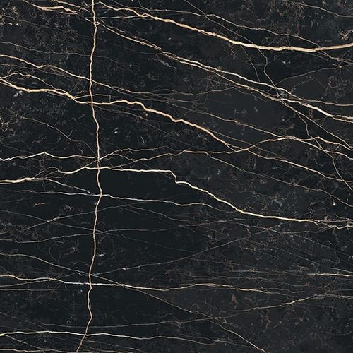 Centura - Floor Tiles Prexious Thunder Night Glossy 24" x 24" - 755872 ...