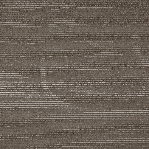 Standard Carpets - Broadloom Carpet New Delhi Color #876 6-1/2' (Sold ...